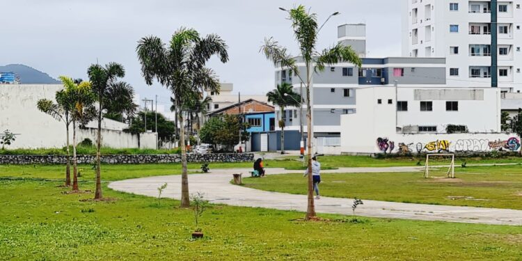 Parque Linear de Camboriú recebe plantio de árvores – Prefeitura de ...